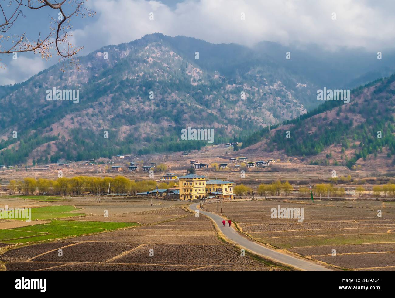 Two Buddhist monks in traditional red clothes walk along the road to ...