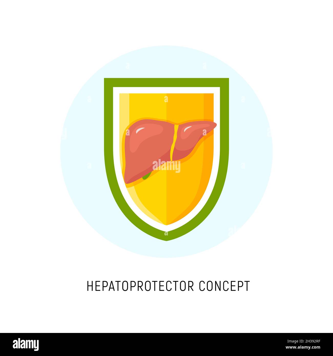 Hepatoprotector concept icon, healthy liver flat icon shield. Liver ...