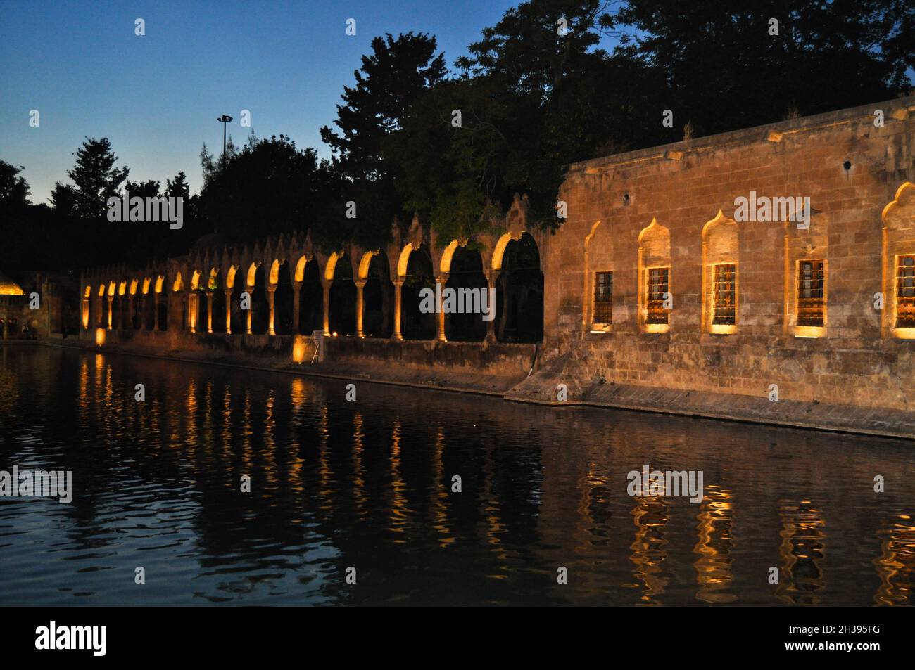 Holy fish lake Sanliurfa Turkey the night's, traditional Urfa Balikli ...