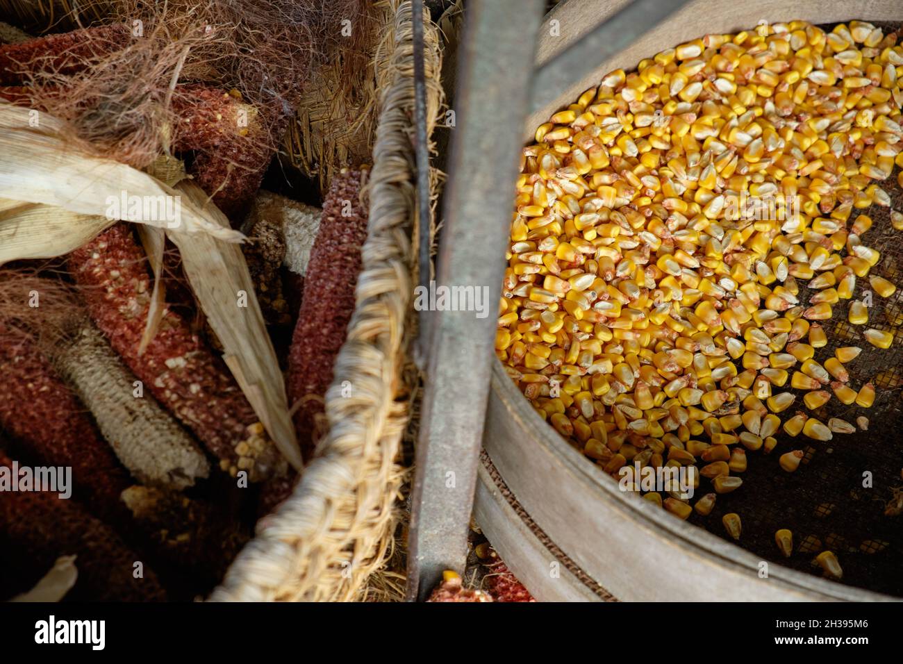 Shelled Corn High Resolution Stock Photography and Images - Alamy