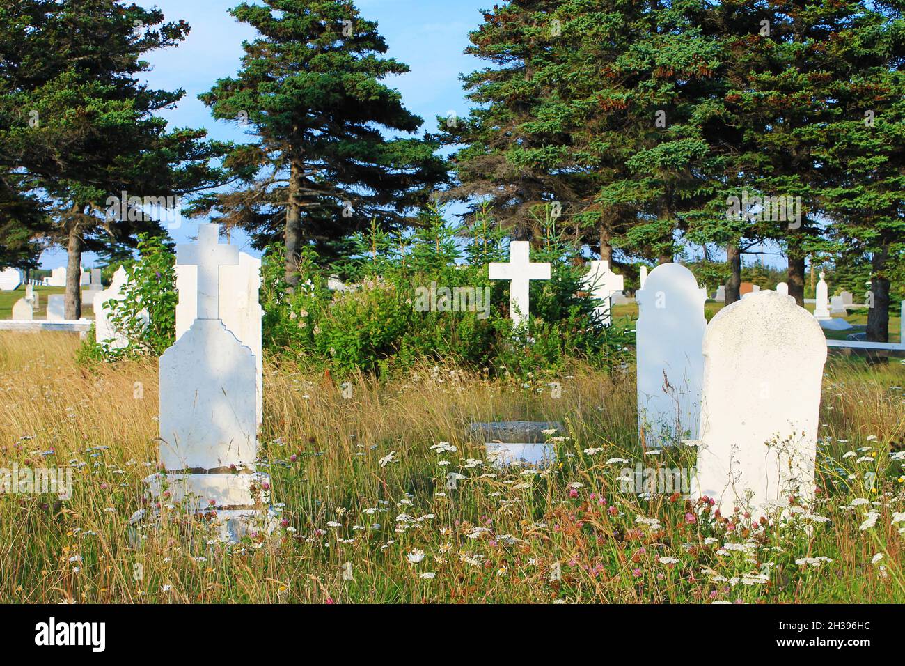 An old, overgrown, and abandoned cemetery Stock Photo - Alamy