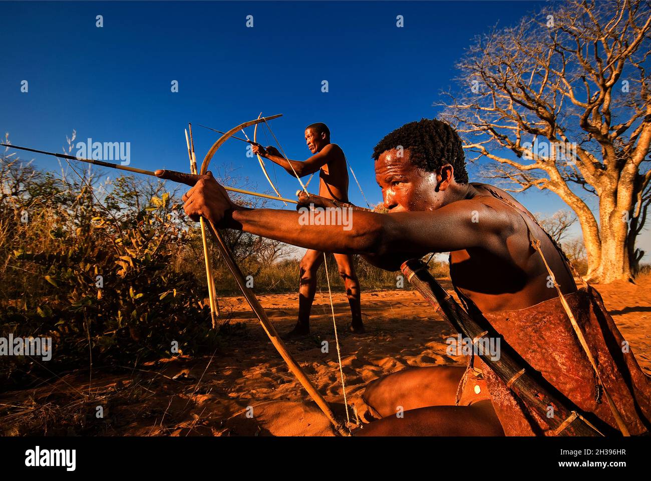 Bushman men simulating a hunt at Grashoek, Namibia Stock Photo - Alamy