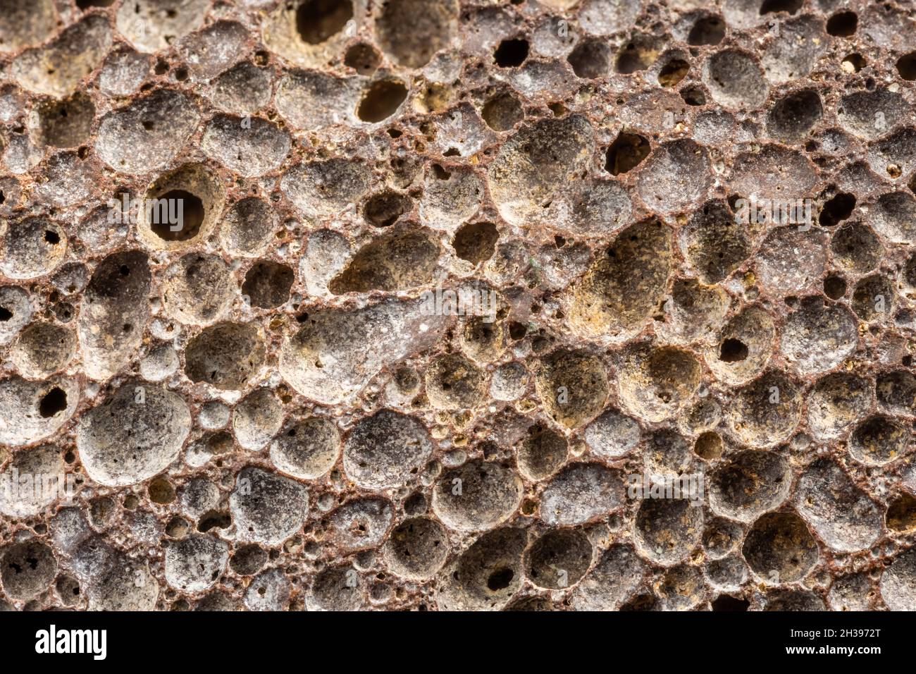 macro shot of used pumice stone with dirt and dead skin inside pores ...