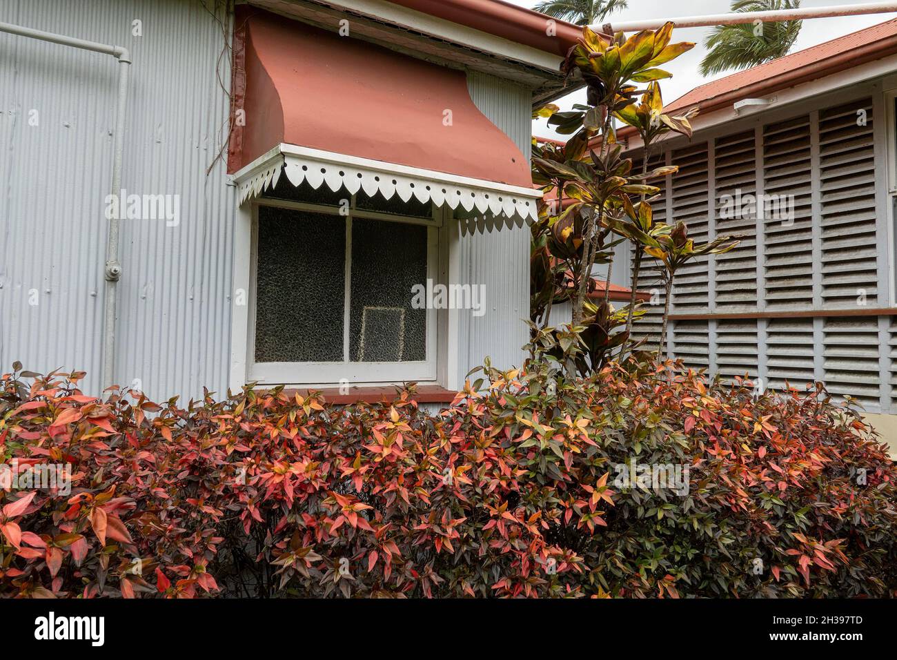 Window and shade over a pioneering home built in 1915, fronted by a ...