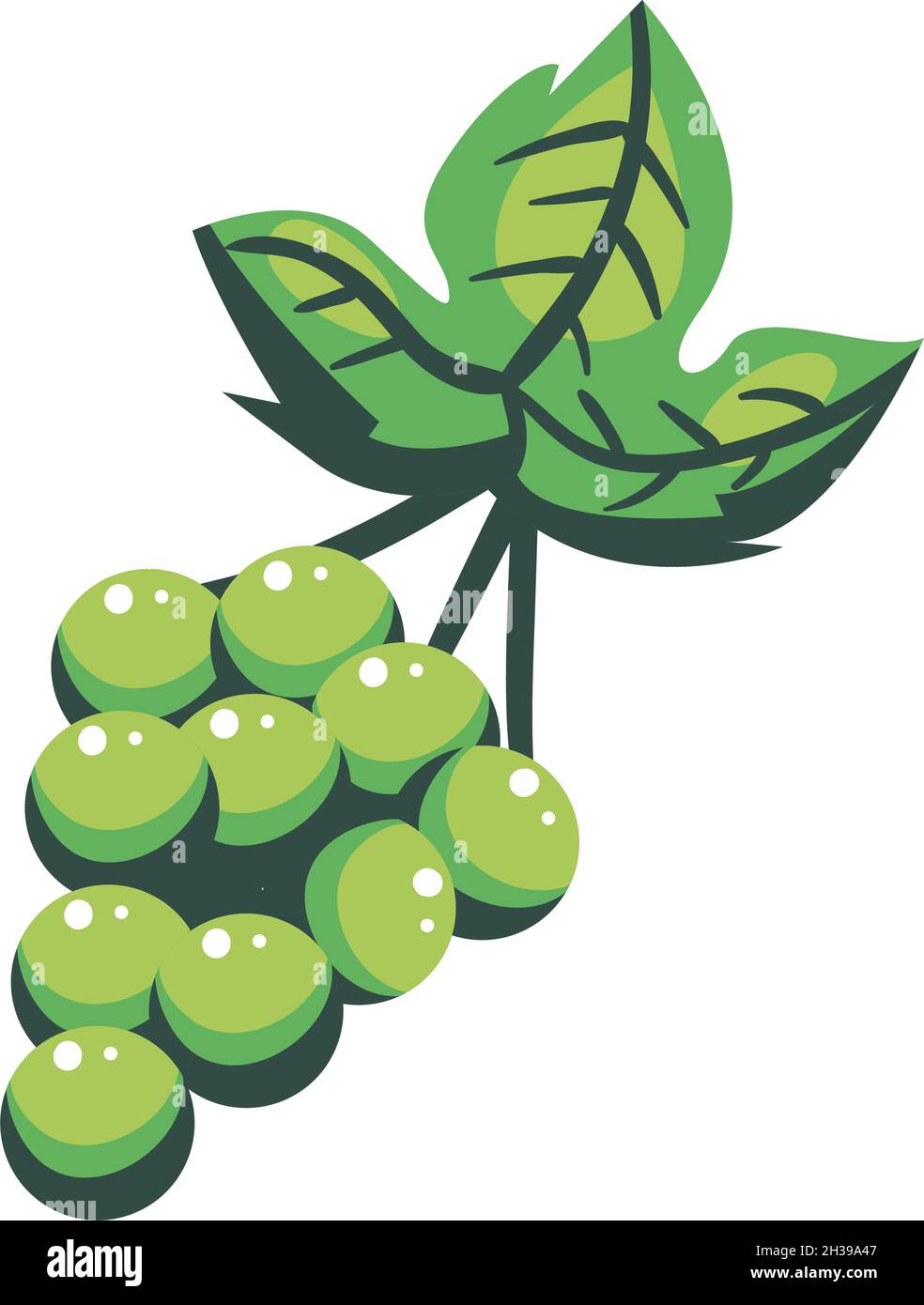 green grapes design over white Stock Vector Image & Art - Alamy