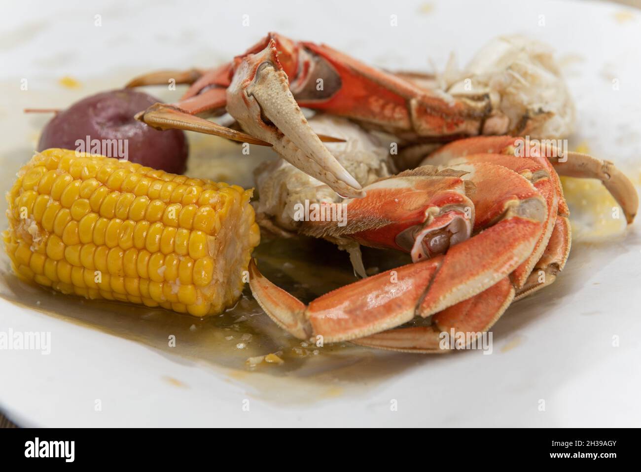 Boiled pot of dungeness crab legs ready for the delicious task of ...