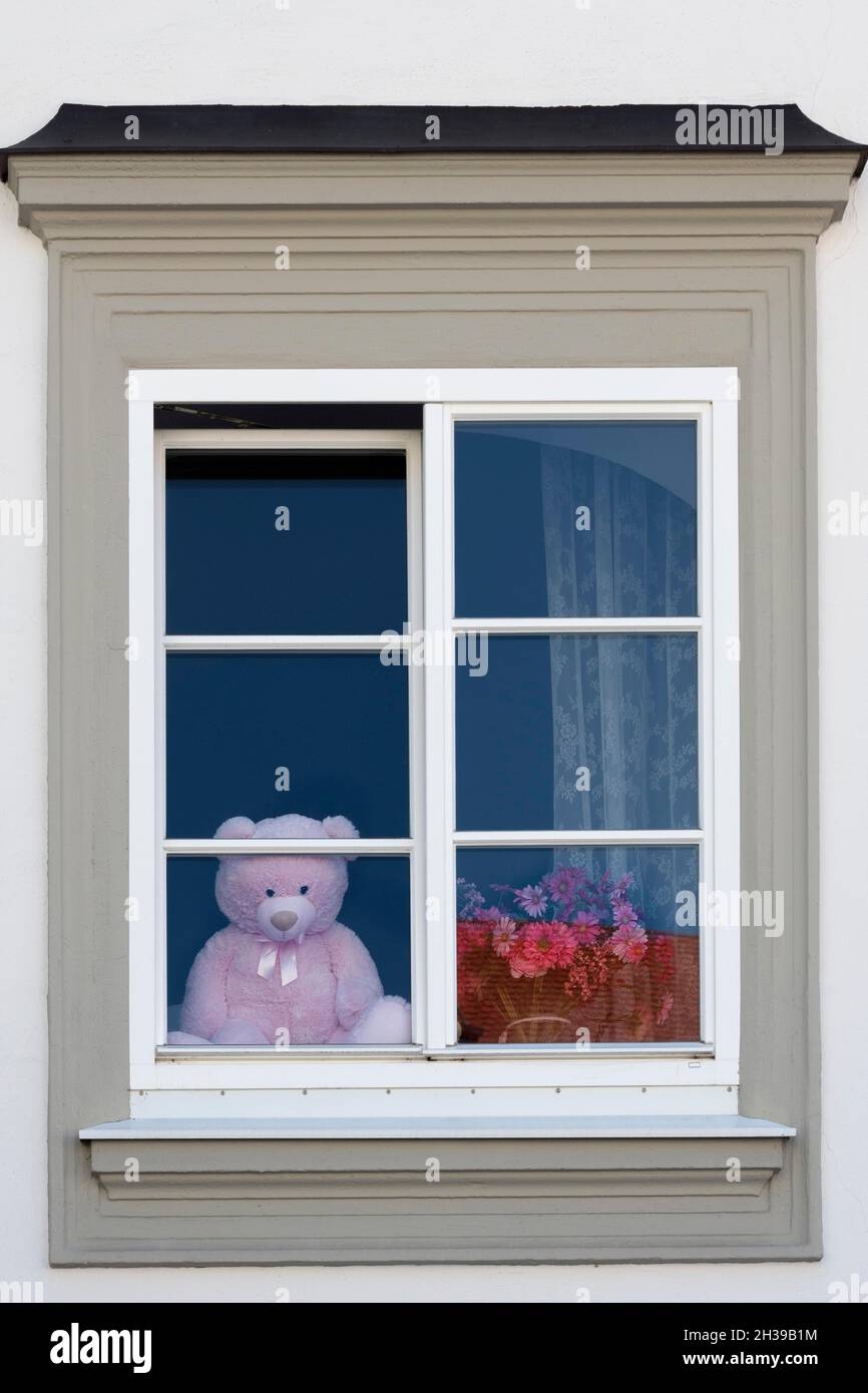 Bear teddy window hi-res stock photography and images - Alamy