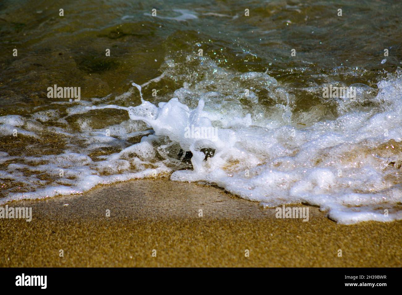 Closeup shot of seafoam bubbles from a wave at a beach Stock Photo - Alamy