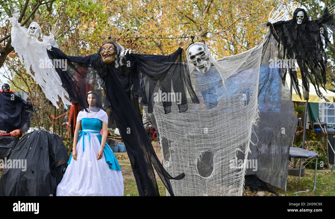 Mallnow, Germany. 26th Oct, 2021. A garden is spookily decorated for ...