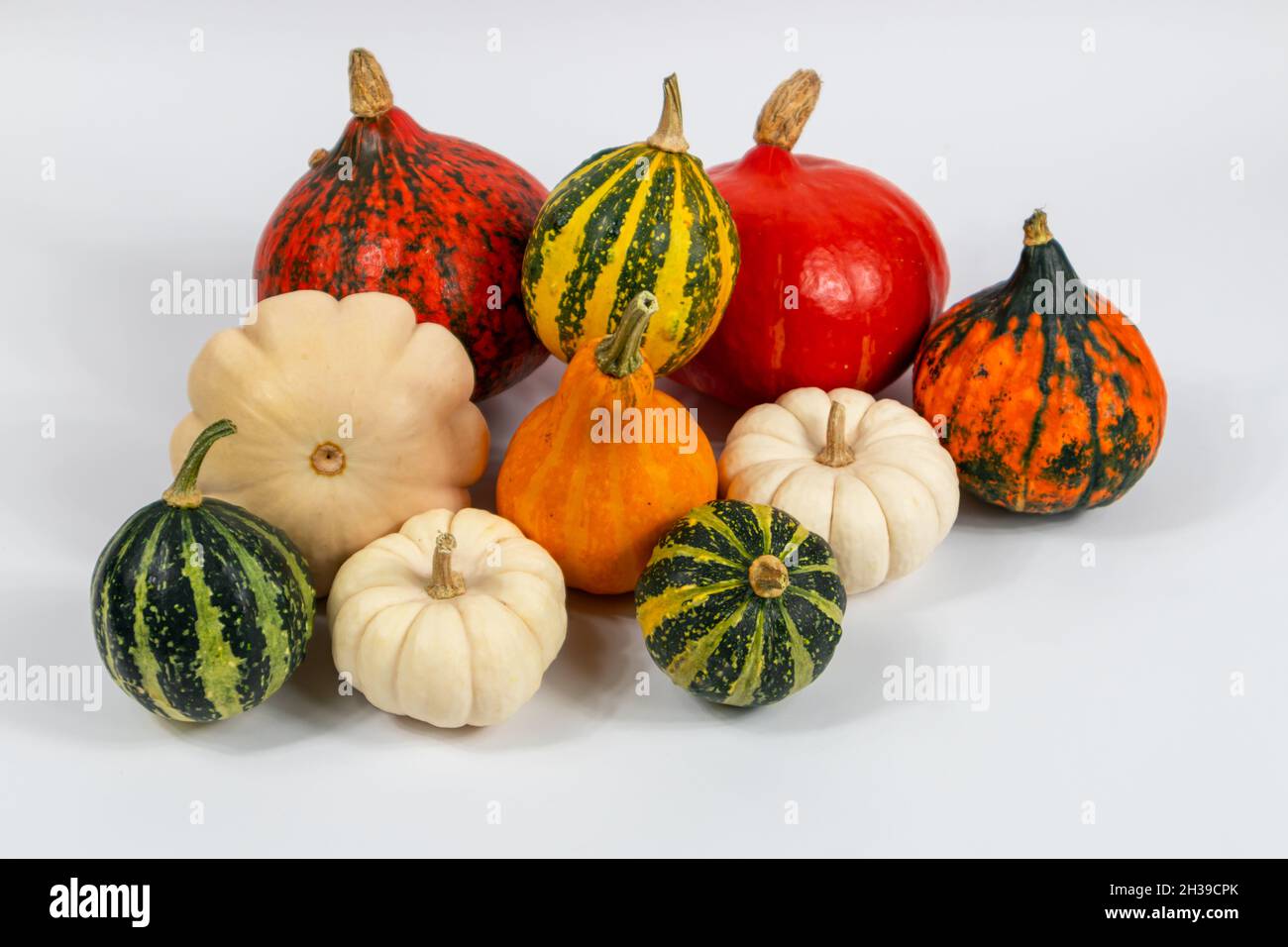 Various pumpkin shapes hi-res stock photography and images - Alamy