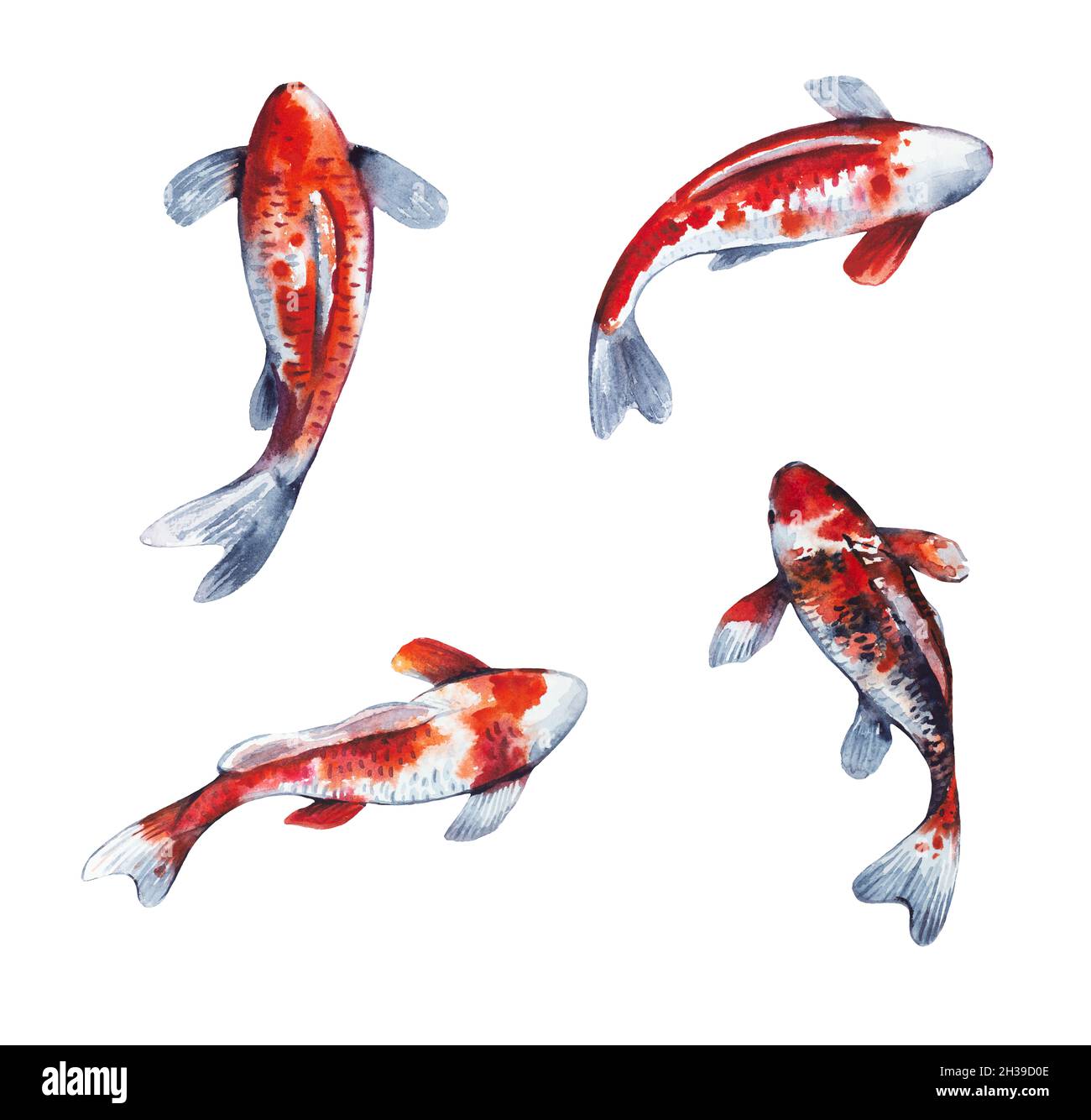 How To Draw A Realistic Koi Fish