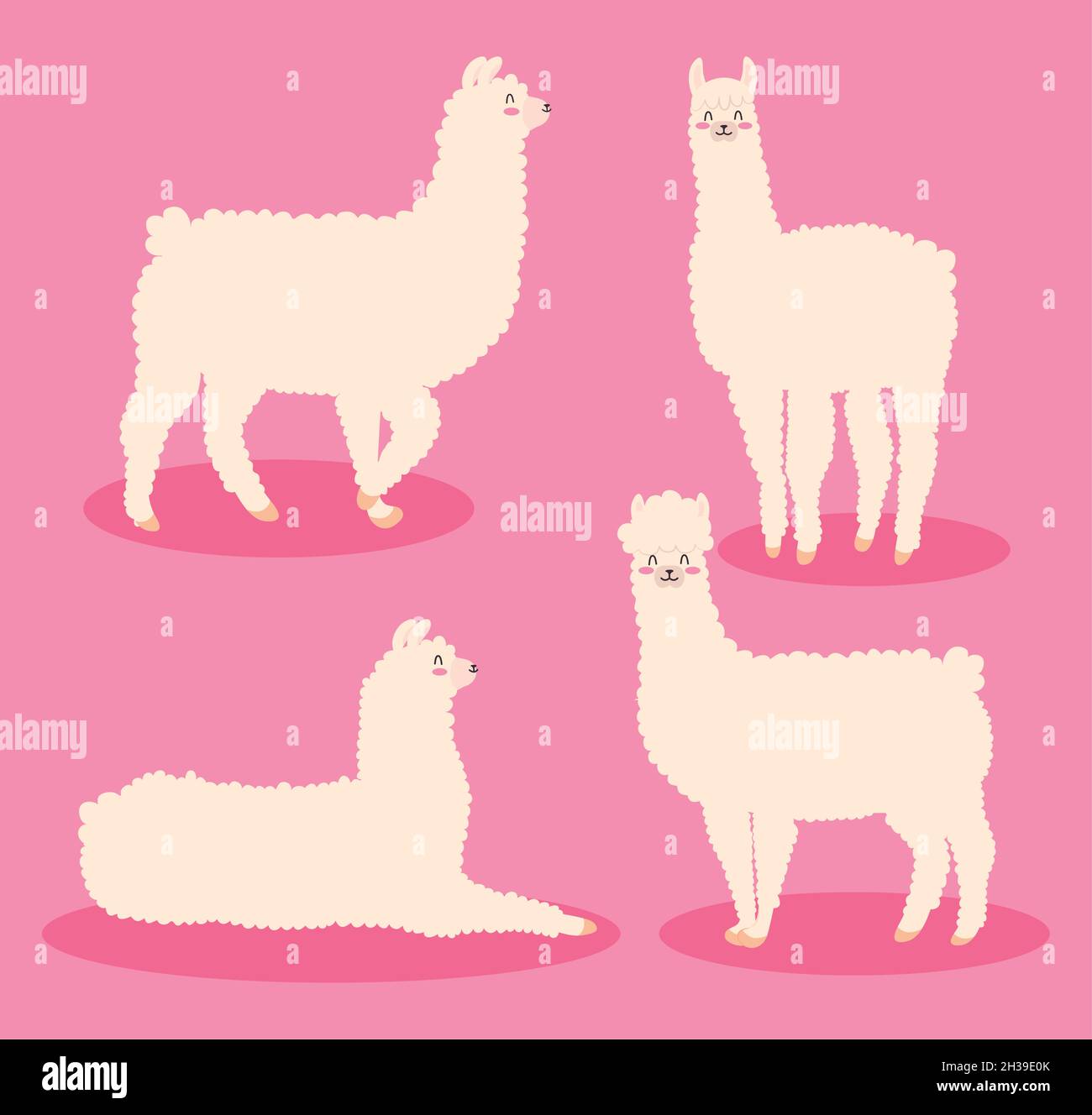 cute alpacas icon set design Stock Vector Image & Art - Alamy