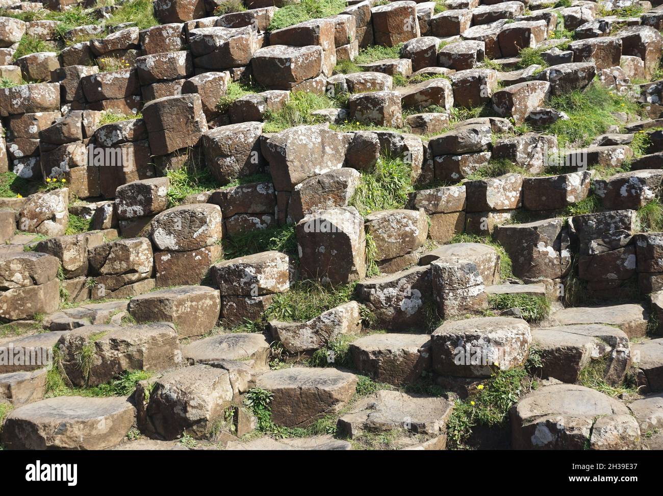 Wide view of natural volcanic rock formations with grass and lichen at ...