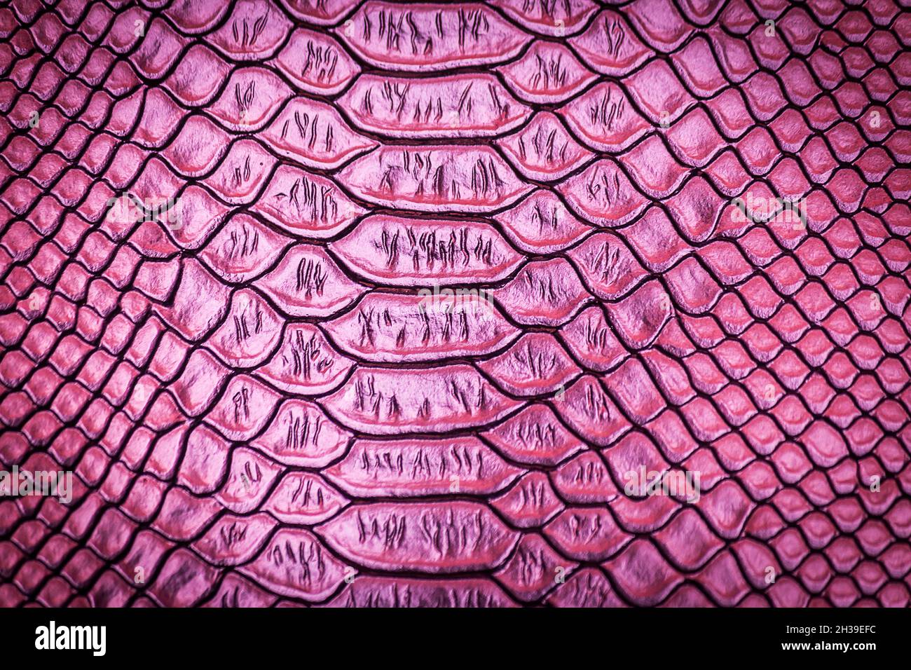 close up of snake skin texture use for background Stock Photo - Alamy