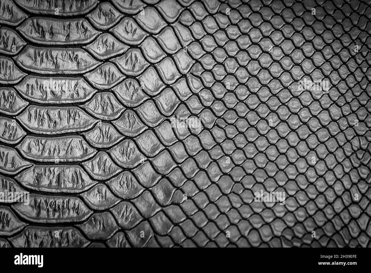 close up of snake skin texture use for background Stock Photo - Alamy