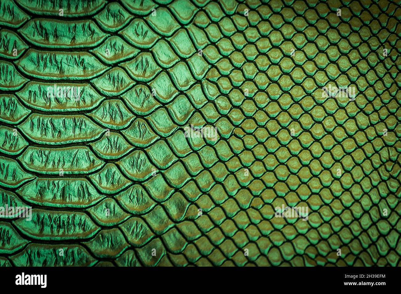 close up of snake skin texture use for background Stock Photo - Alamy