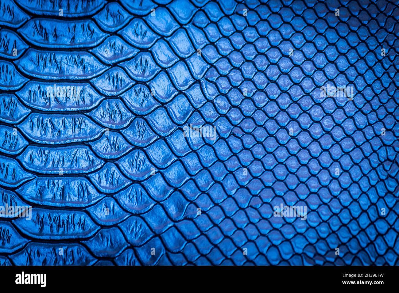 close up of snake skin texture use for background Stock Photo - Alamy