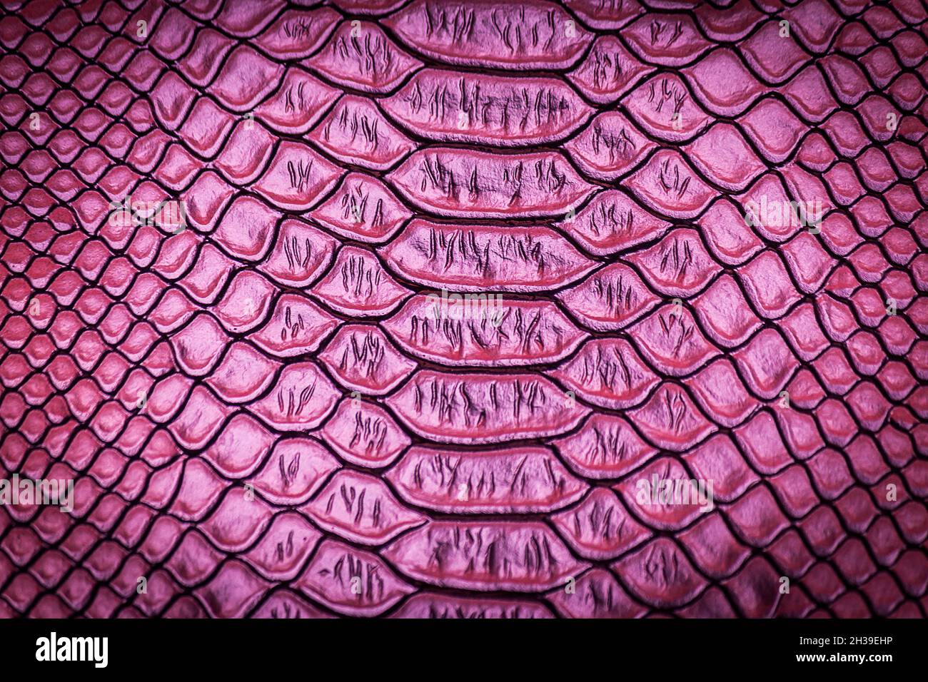 close up of snake skin texture use for background Stock Photo - Alamy
