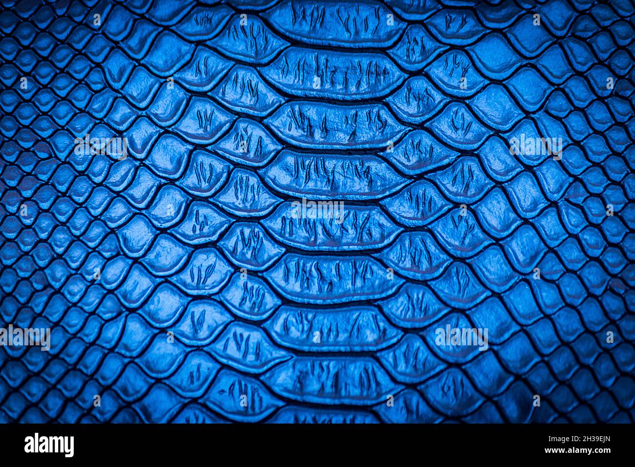 close up of snake skin texture use for background Stock Photo - Alamy