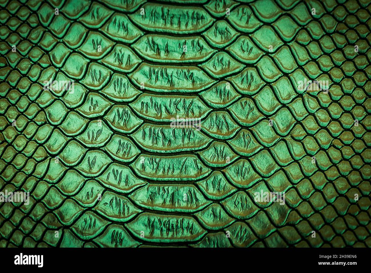 close up of snake skin texture use for background Stock Photo - Alamy close up of snake skin texture use for background Stock Photo - Alamy