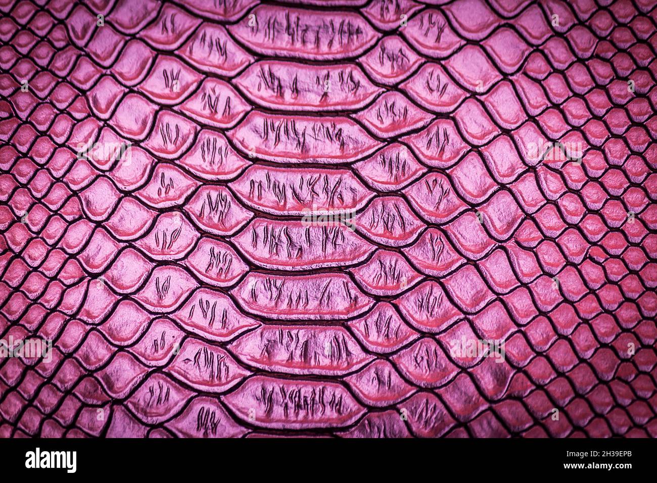 Snake skin texture hi-res stock photography and images - Alamy