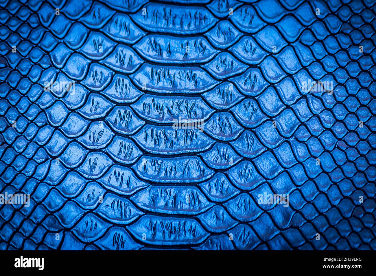 close up of snake skin texture use for background Stock Photo - Alamy
