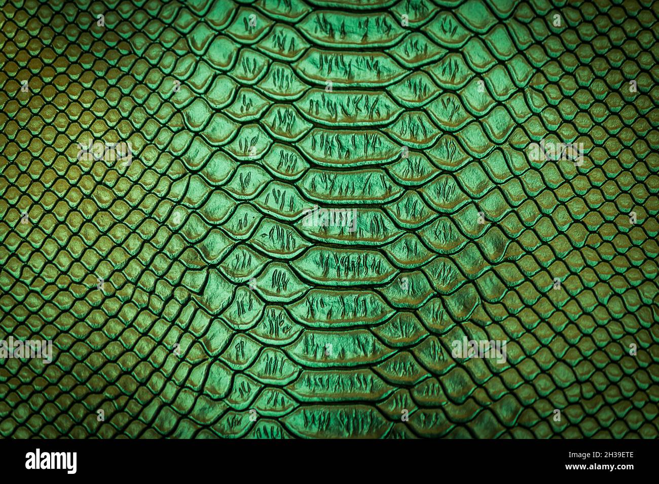 close up of snake skin texture use for background Stock Photo - Alamy