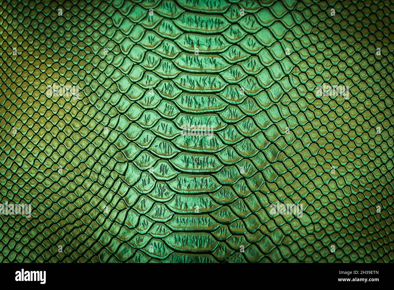 close up of snake skin texture use for background Stock Photo - Alamy
