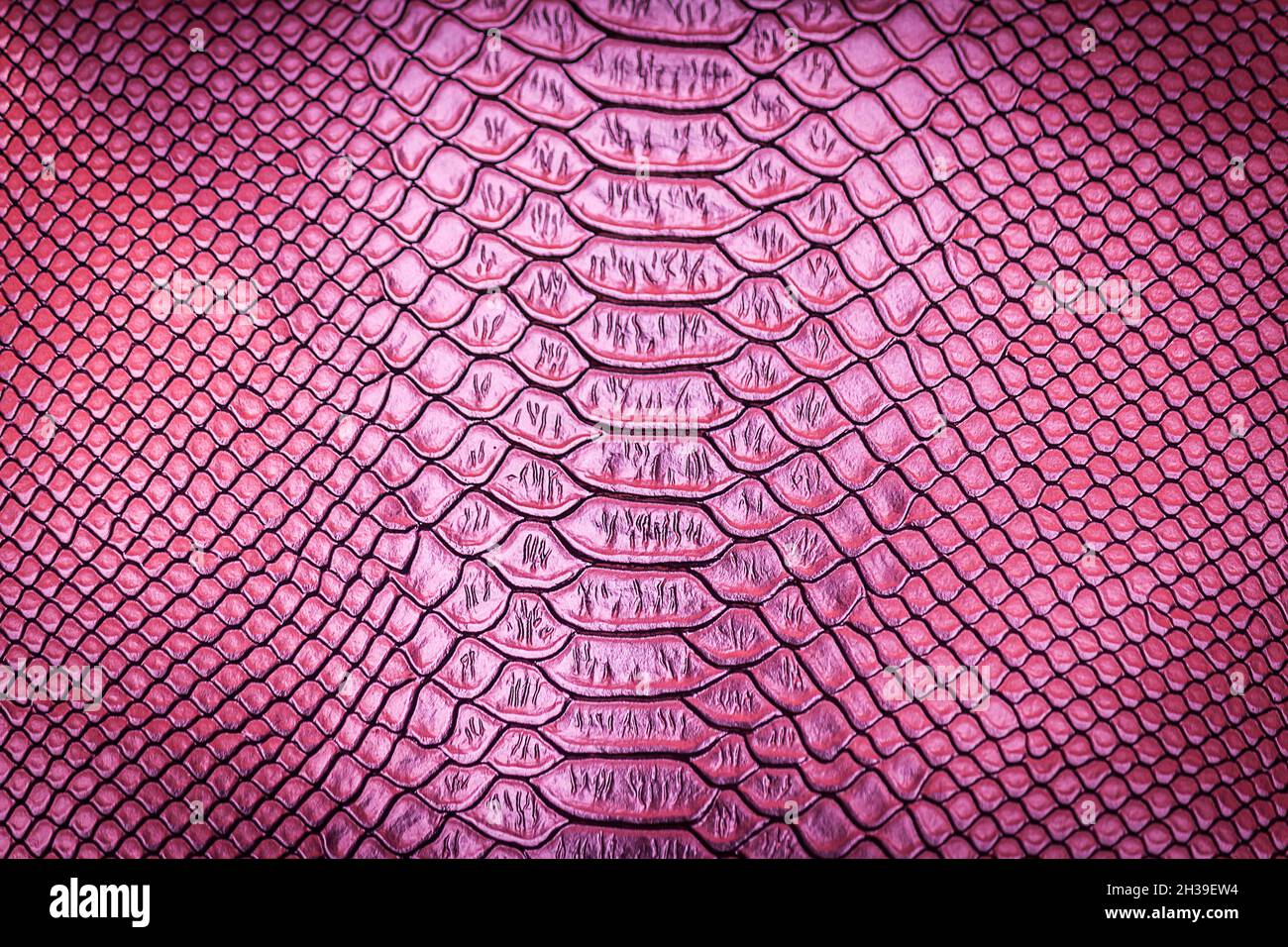 close up of snake skin texture use for background Stock Photo - Alamy close up of snake skin texture use for background Stock Photo - Alamy