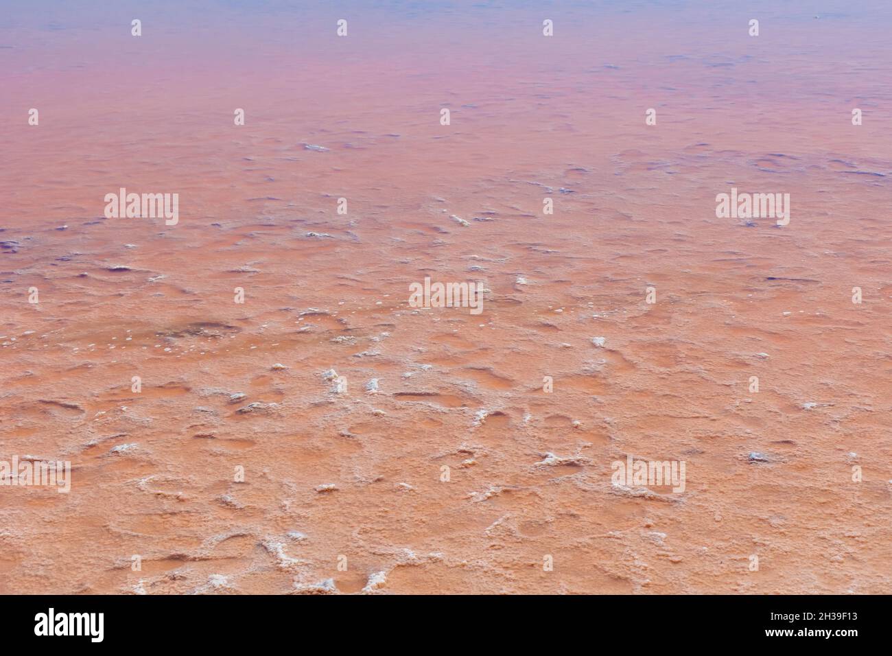 Pink color water salt lake natural landscape background Stock Photo - Alamy