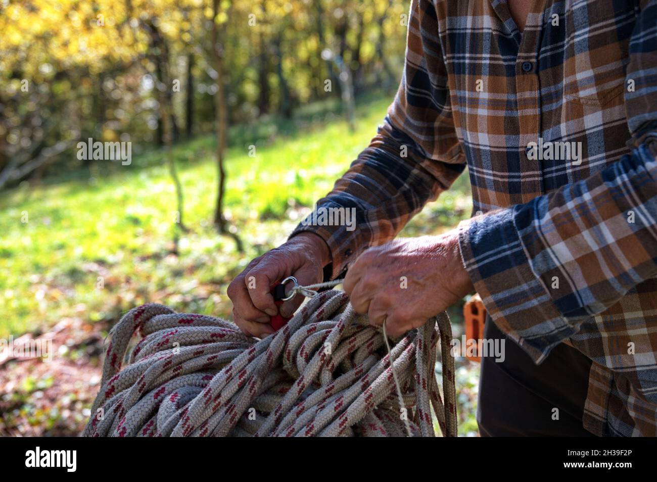 Professional arborist preparing rope tree hi-res stock photography and ...