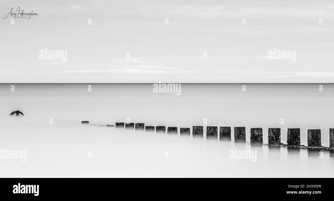 Condescending Black and White Stock Photos & Images - Alamy