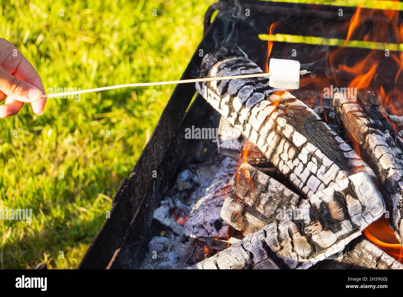 marshmallow on a stick being roasted over a camping fire Stock Photo ...