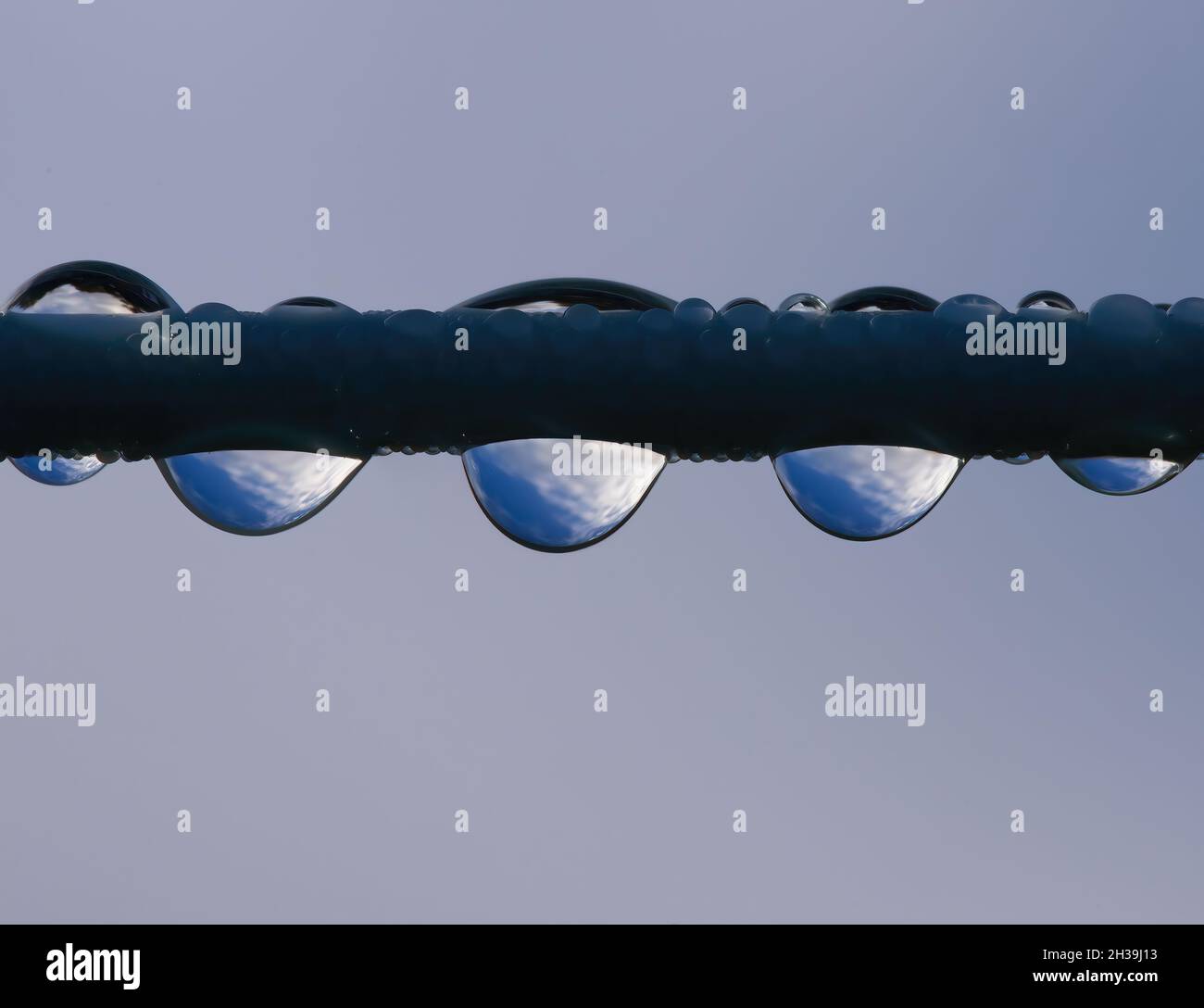 water drops on a washing line Stock Photo - Alamy