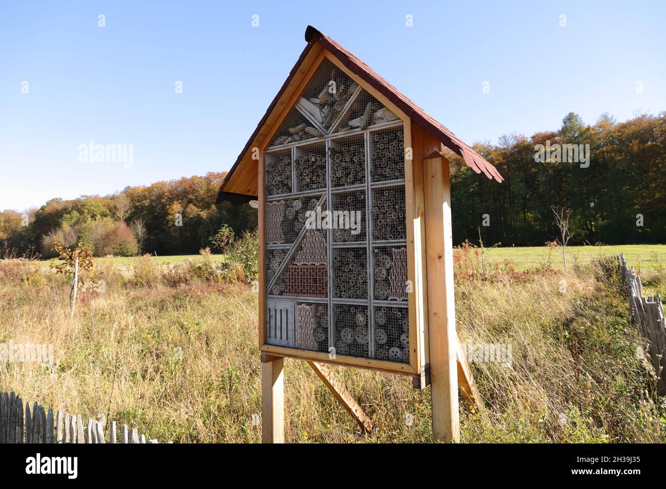 Build a bug hotel hi-res stock photography and images - Alamy