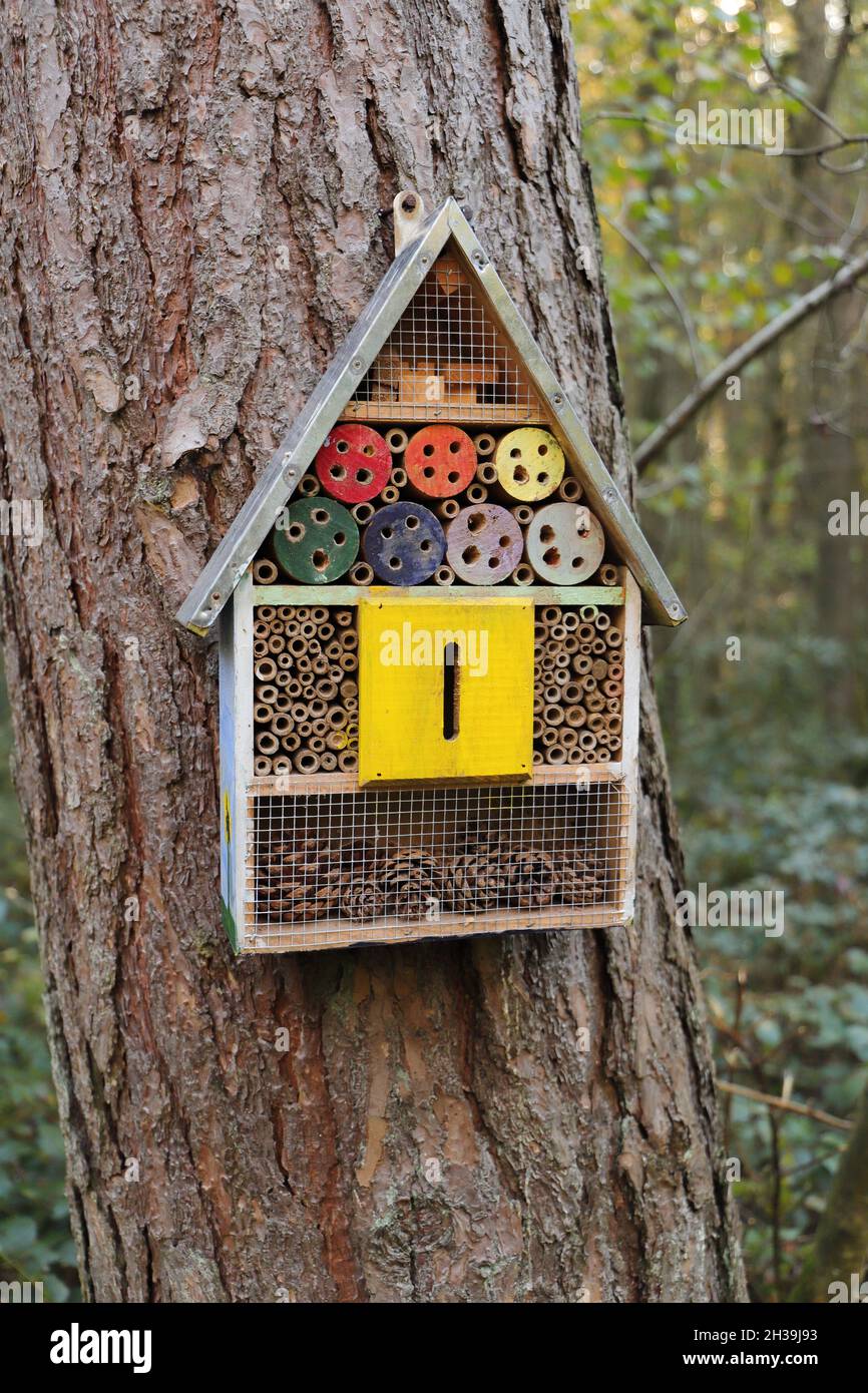 a large insect hotel in a meadow Stock Photo - Alamy