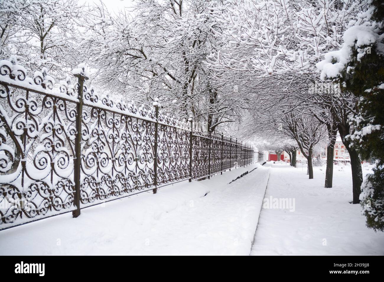 Snow Covered Pathway Winter Stock Photo - Alamy