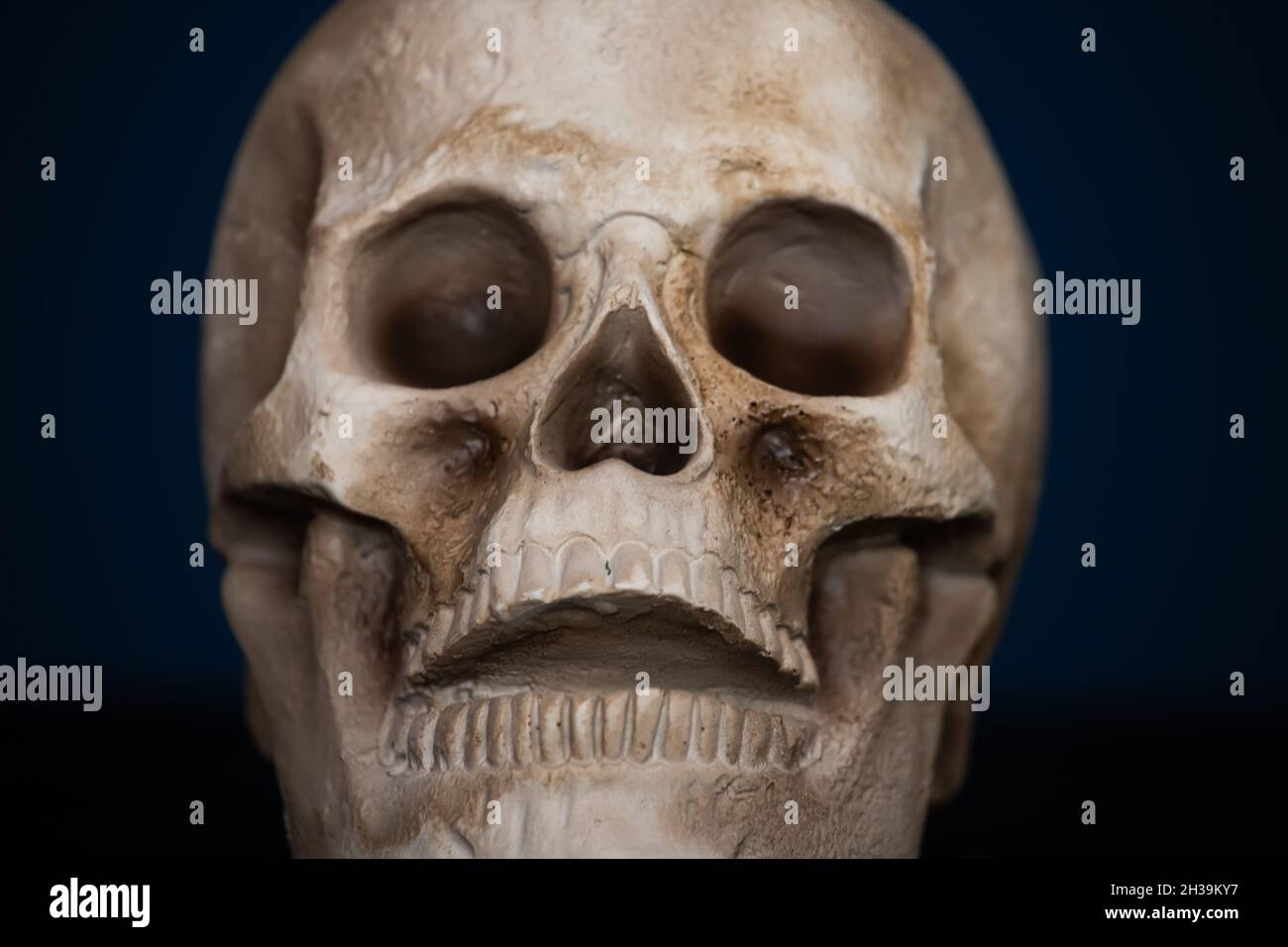 Scary grunge skull wallpaper. Halloween background Stock Photo - Alamy