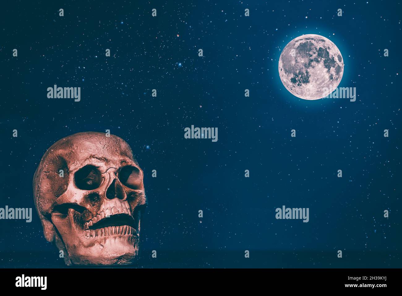 Scary grunge skull wallpaper. Halloween background Stock Photo - Alamy