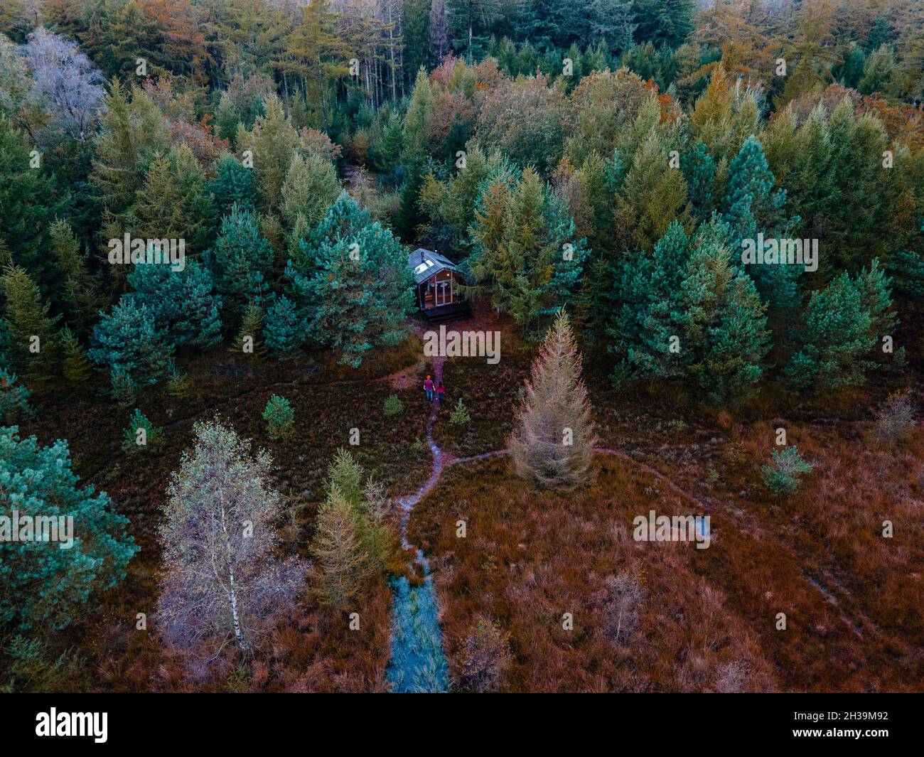 Wooden hut in an autumn forest in the Netherlands, cabin off grid ...