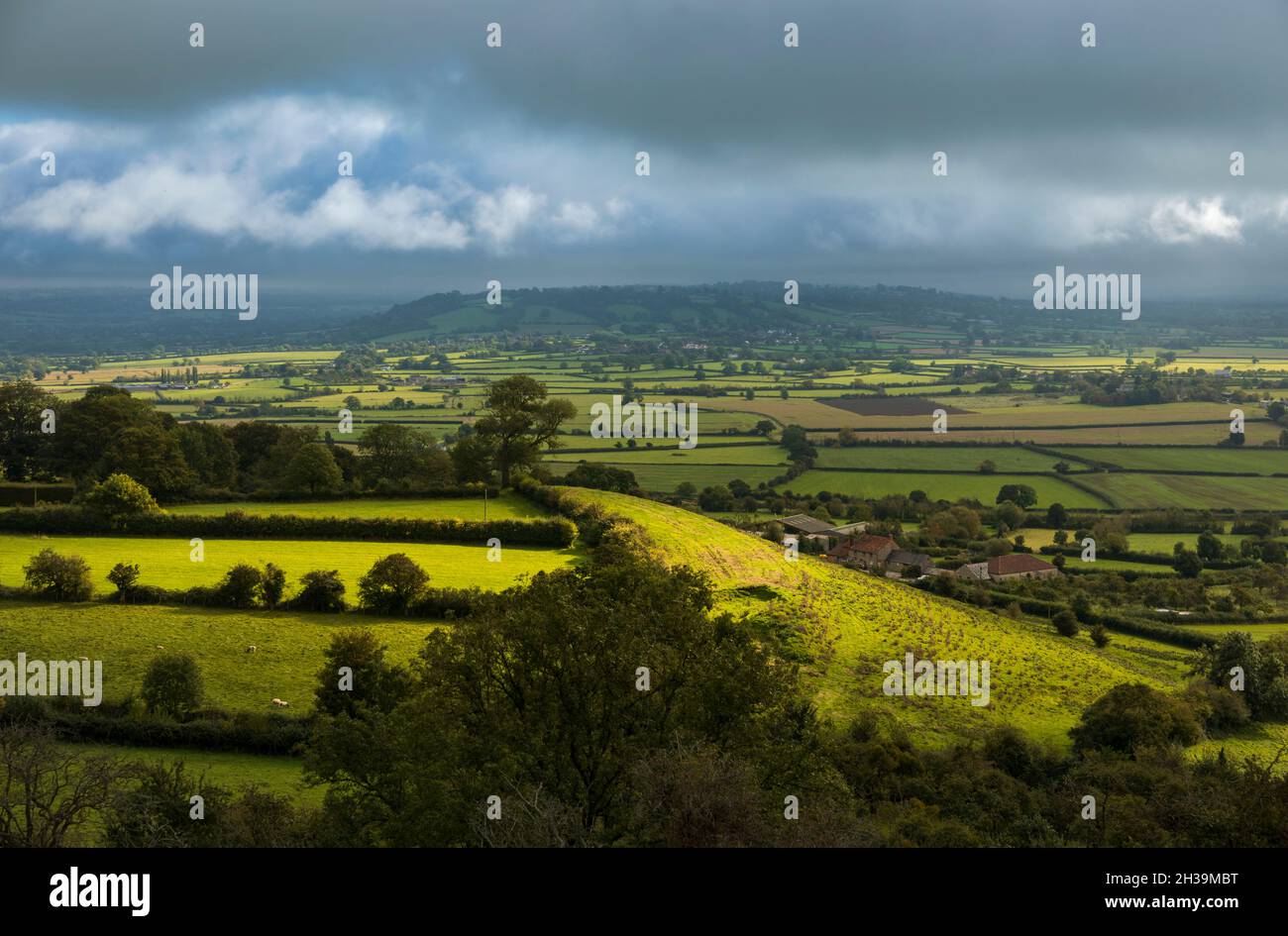 Somerset countryside hi-res stock photography and images - Alamy