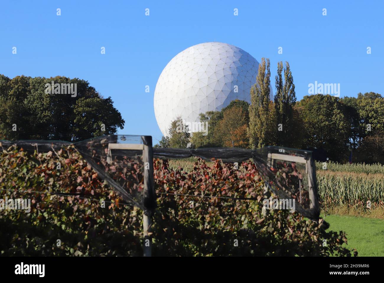 The balloon of Wachtberg in Germany Stock Photo - Alamy