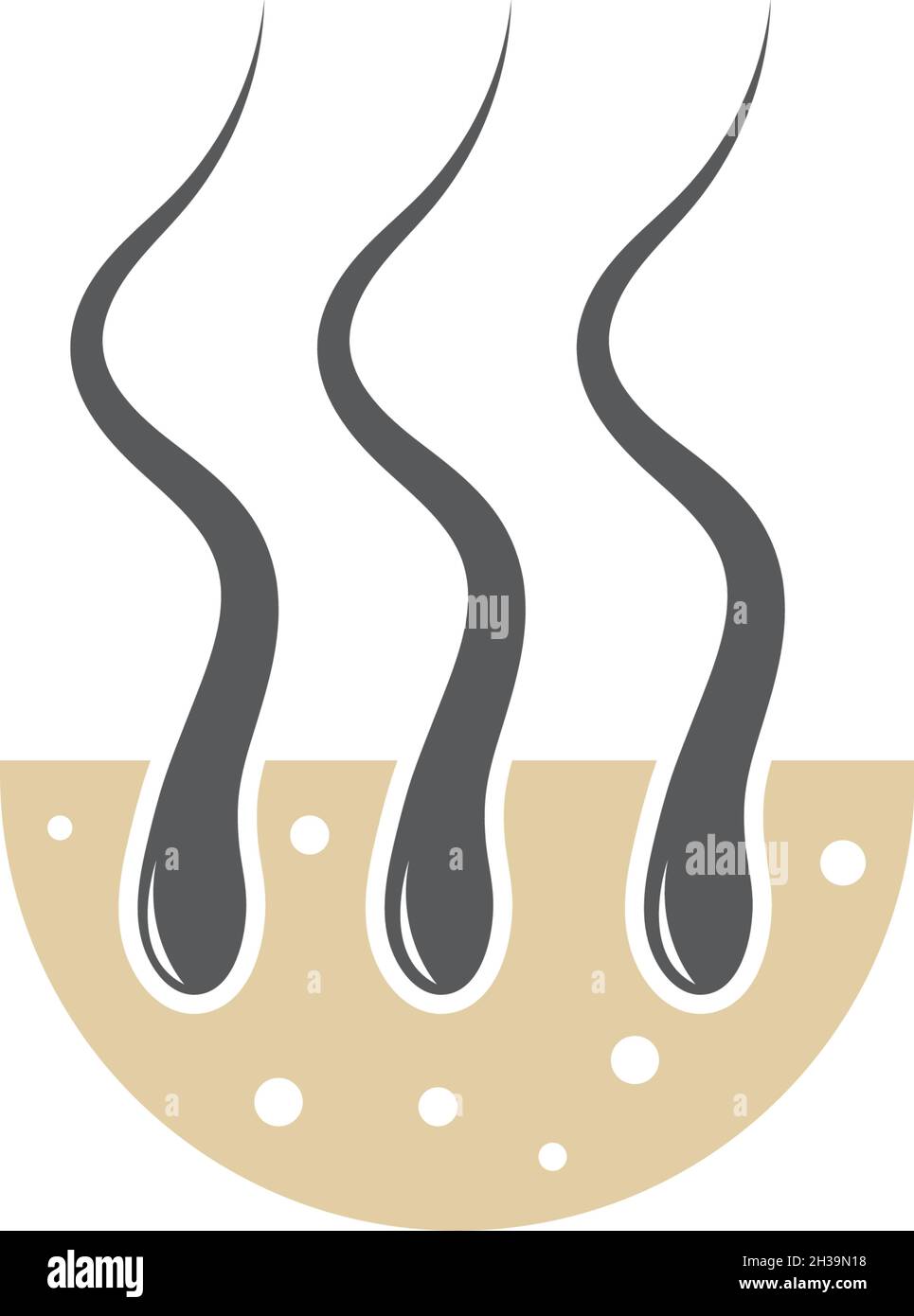 Follicle Hair treatment logo vector icon template Stock Vector Image ...