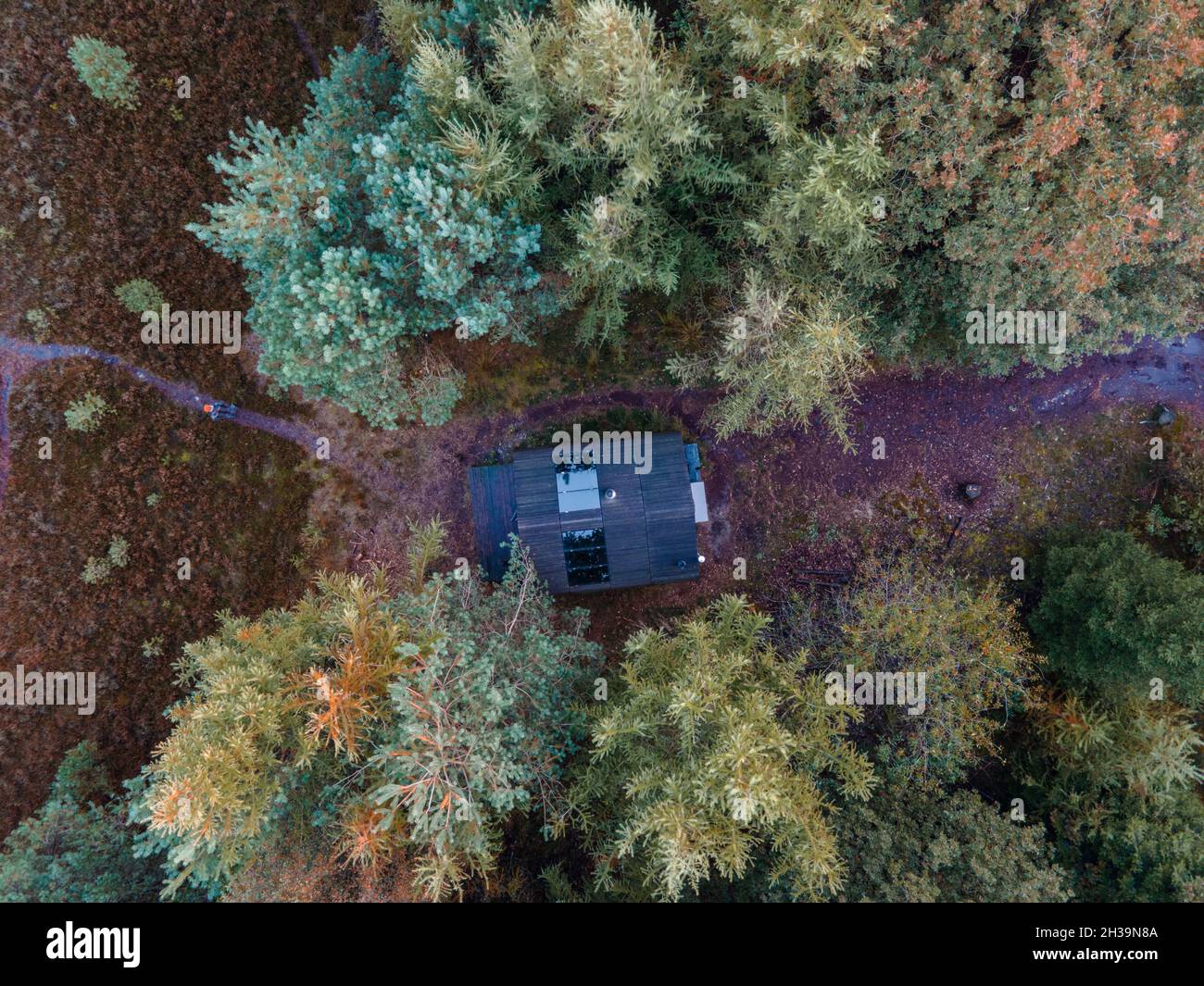 Wooden hut in an autumn forest in the Netherlands, cabin off grid ...