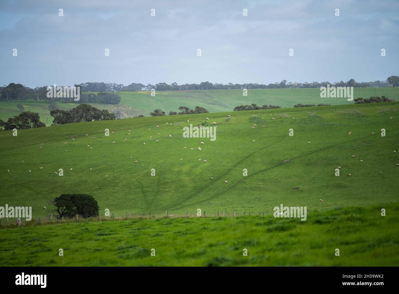Cattle station home australia hi-res stock photography and images - Alamy