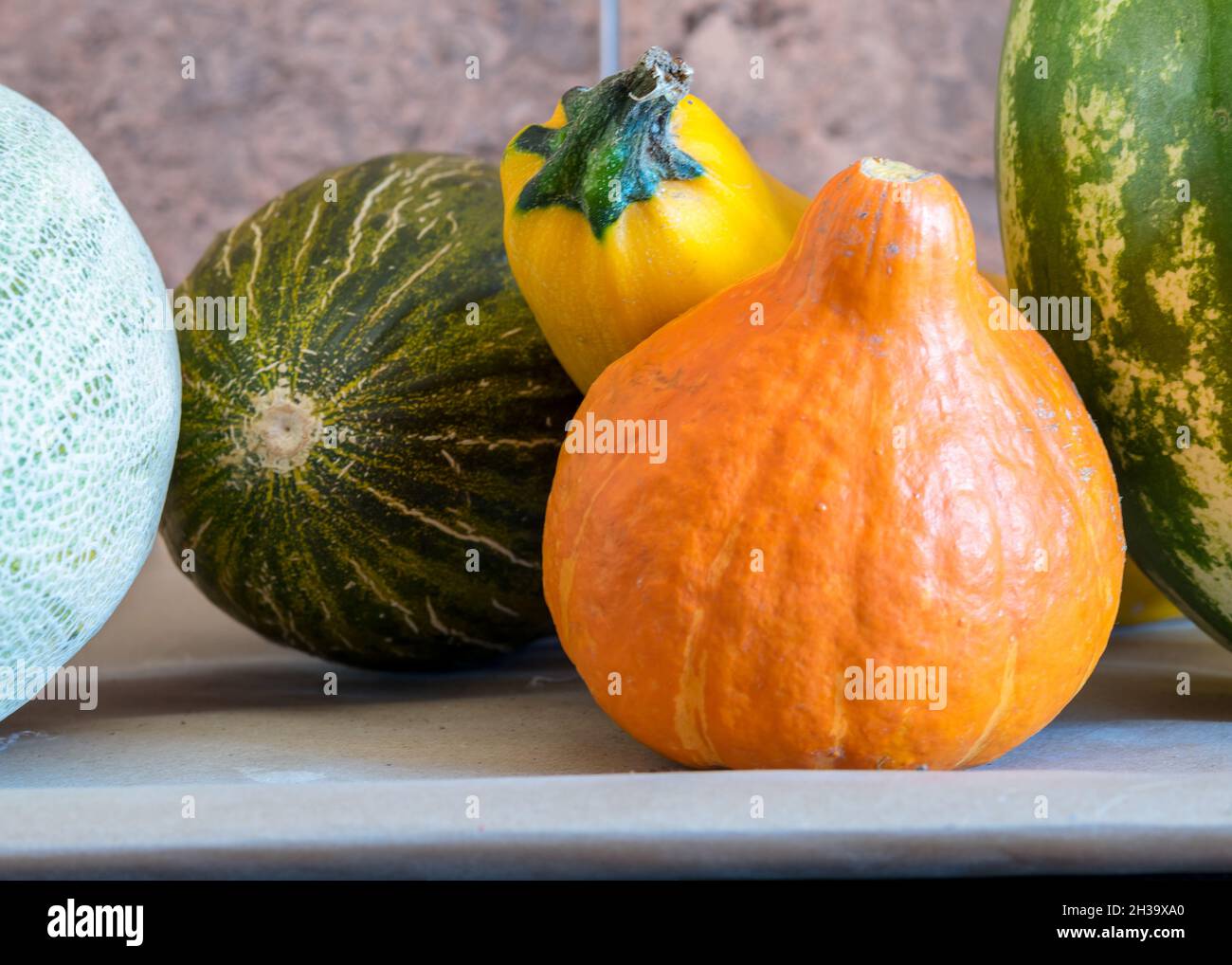 picture with pumpkin, zucchini, watermelon and melon, autumn harvest ...