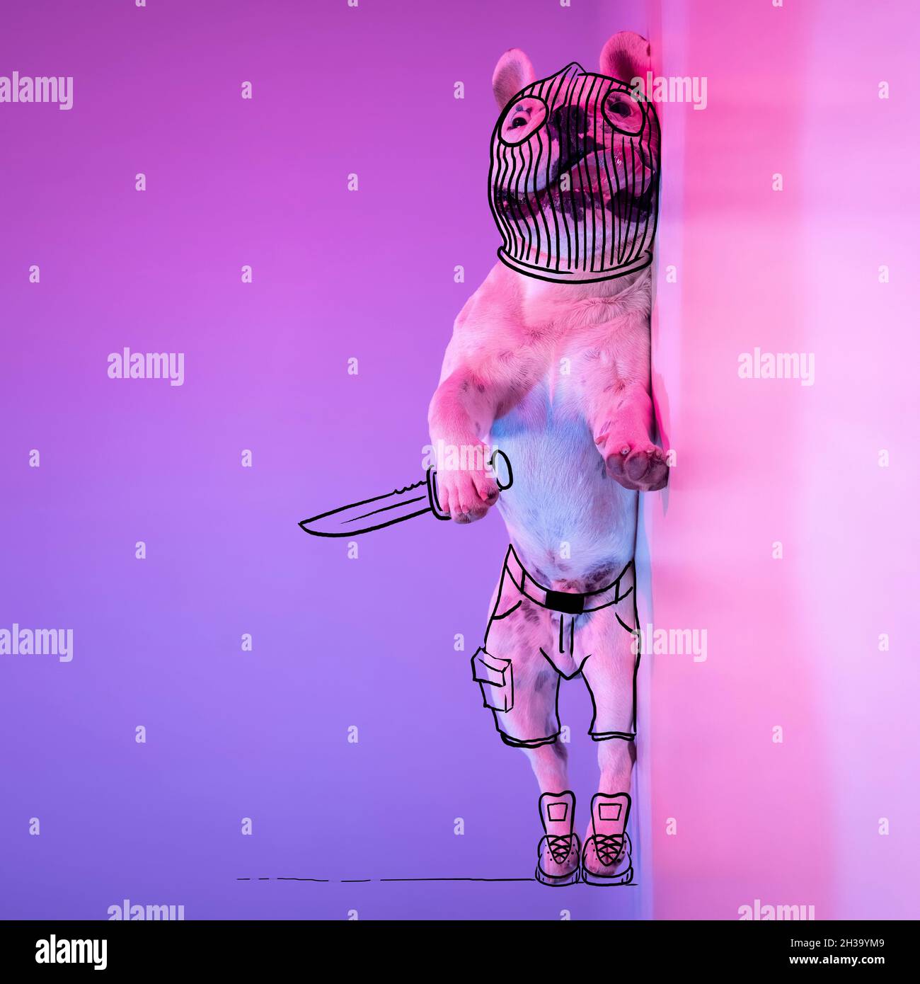 Modern artwork. One cute little dog, bulldog like robber isolated on ...