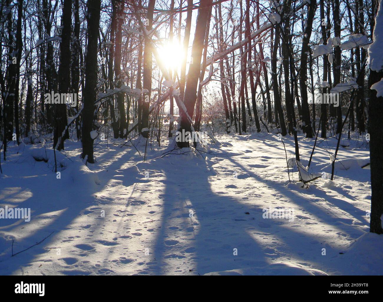 Frosty sun rise hi-res stock photography and images - Alamy