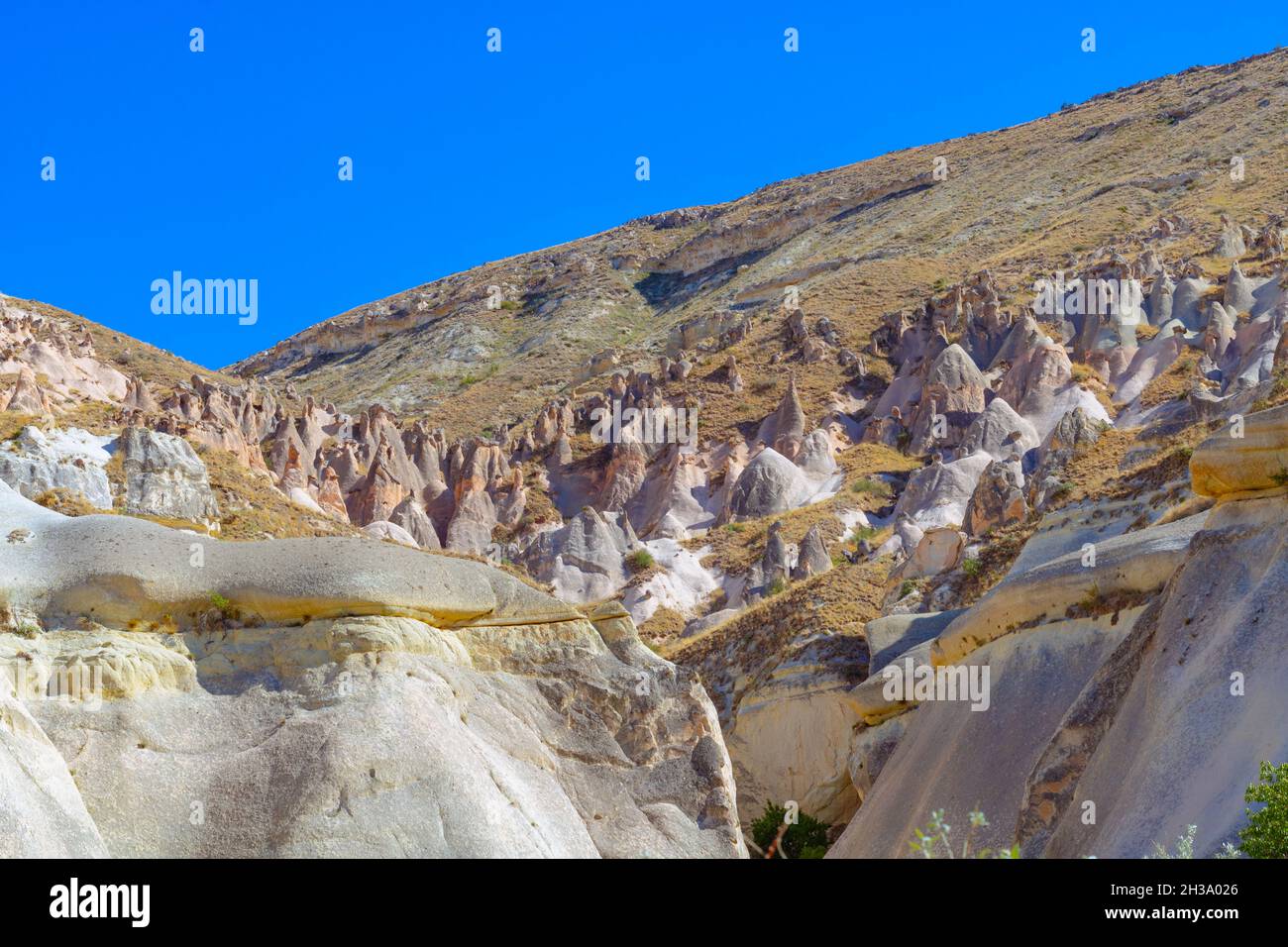Fairy Chimneys and geological formations in Pasabagi Cappadocia. View ...