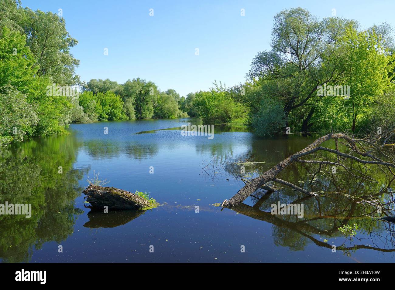 The Bug River. The Bug forms part of the border between Ukraine and ...